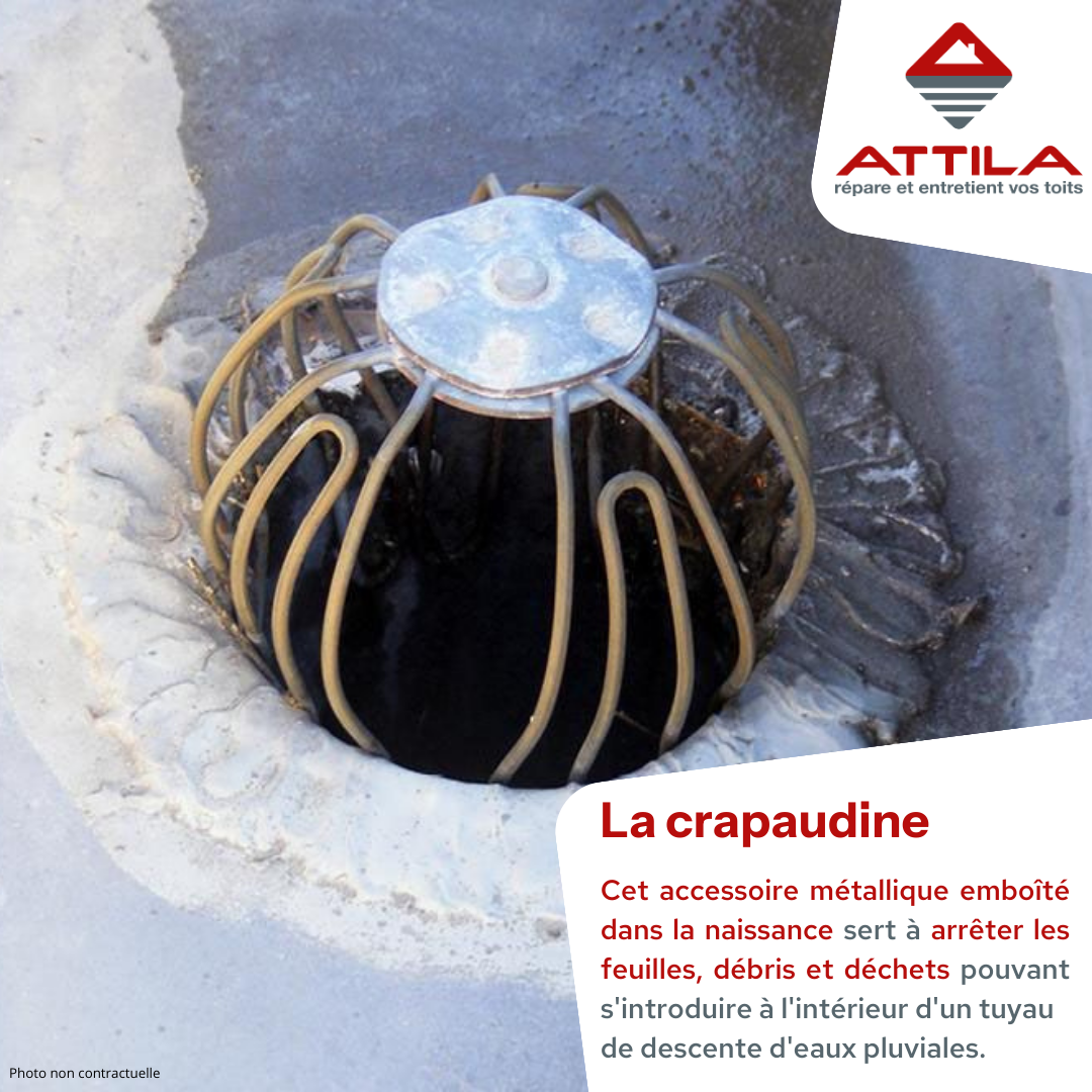 ATTILA : LA CRAPAUDINE EN TOITURE POUR UNE EFFICACITE DISCRETE | ATTILA