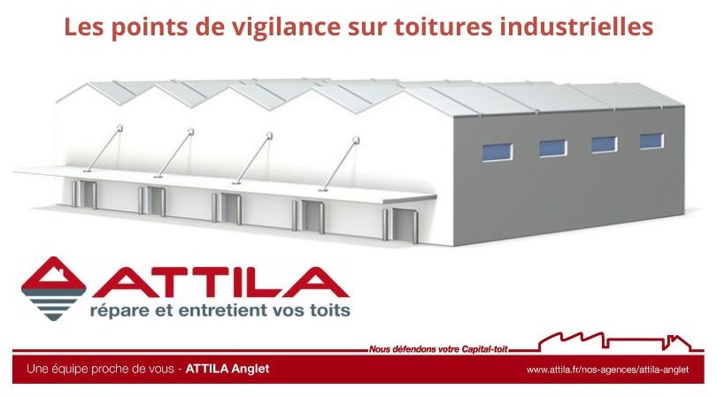 ATTILA ET LES POINTS DE VIGILANCE SUR TOITS INDUSTRIELS | ATTILA