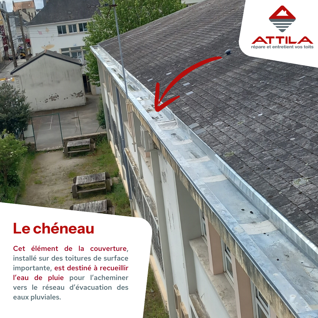 EXPERTISE ATTILA : LE CHENEAU EN TOITURE | ATTILA